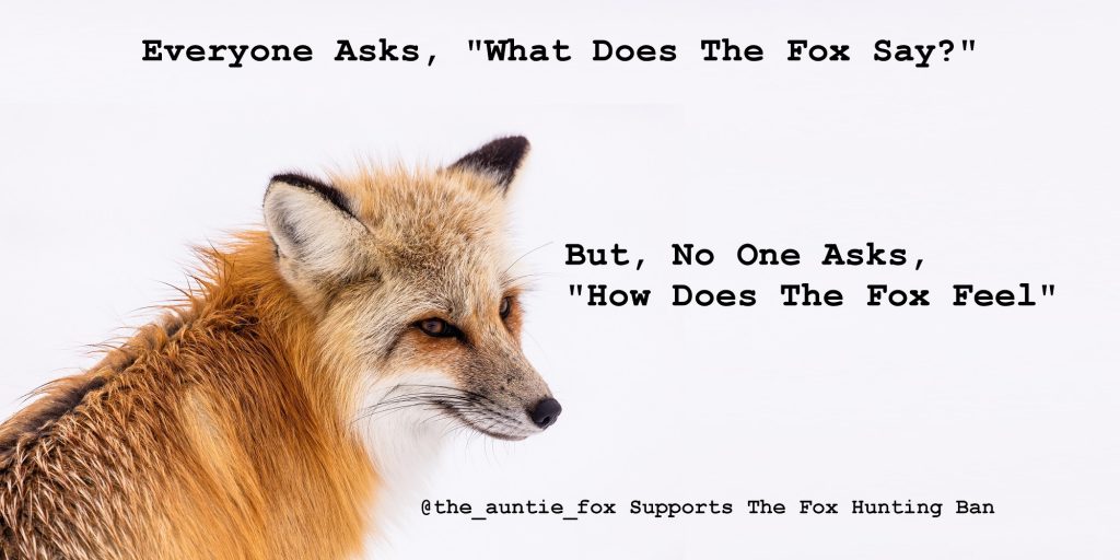 Support The Fox Hunting Ban » UK Election News